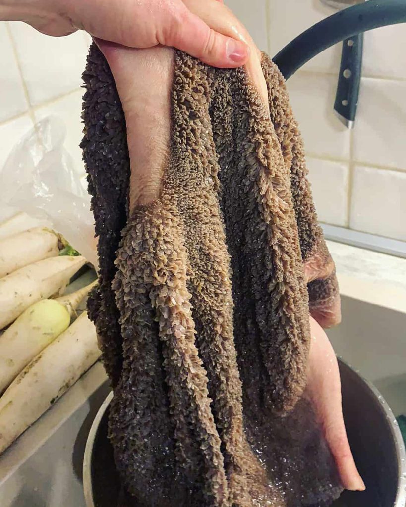 Jaučio skrandis rytietiškai ir kaip jį apdoroti | Bulvių košė